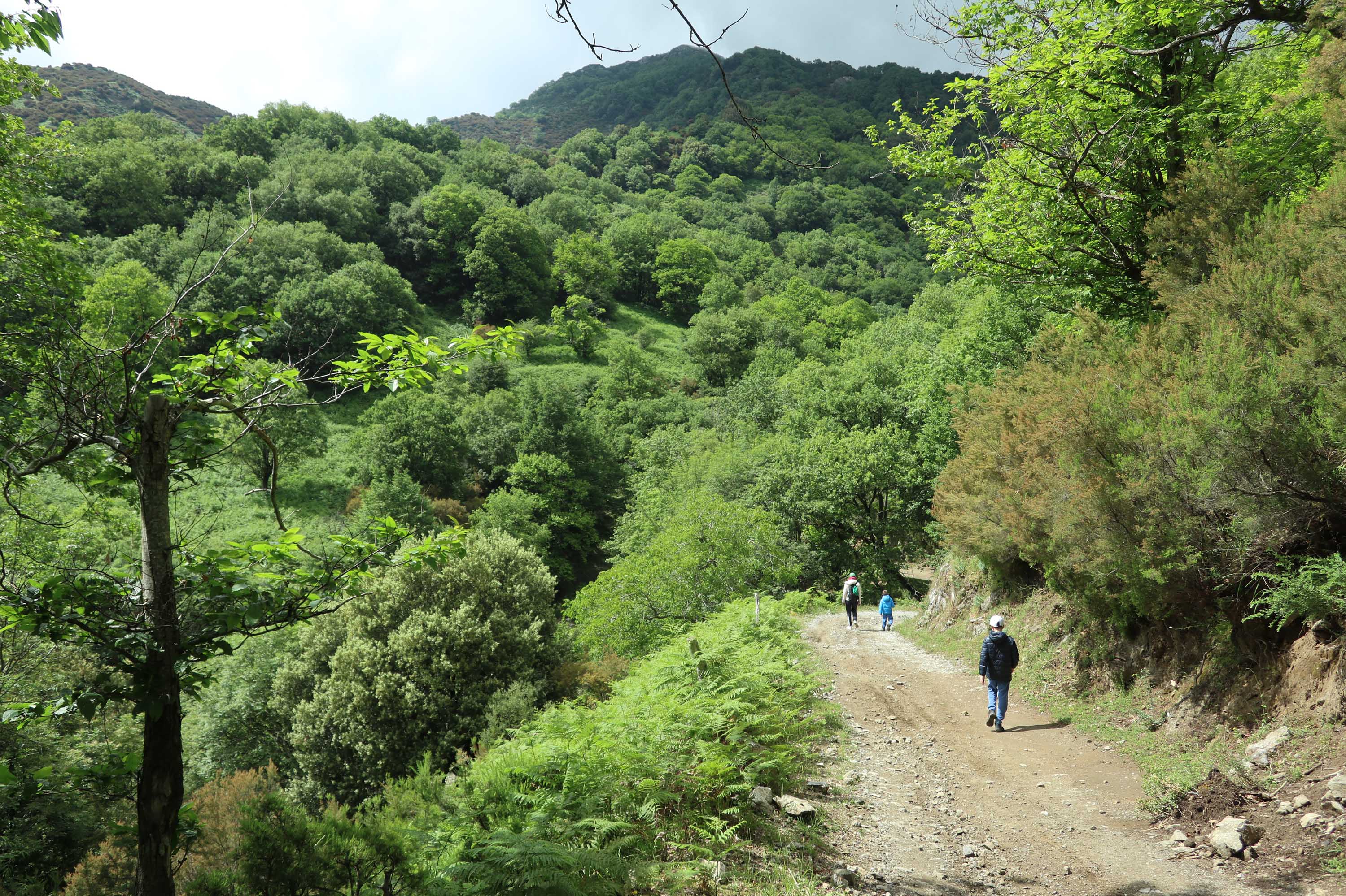 Alla scoperta della natura | UnictMagazine